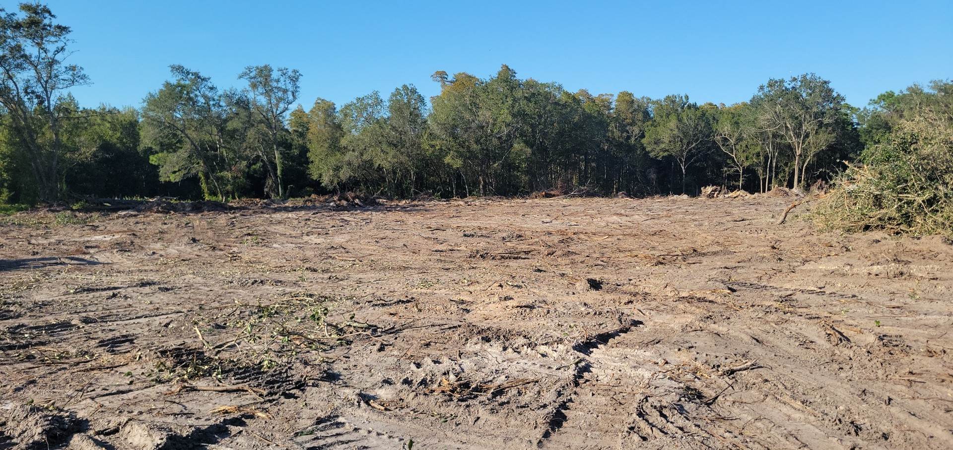 Central Florida Land Management Services | Sons Of David Land Services