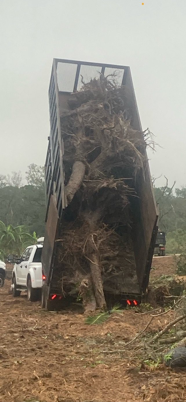 Central Florida Land Management Services | Sons Of David Land Services