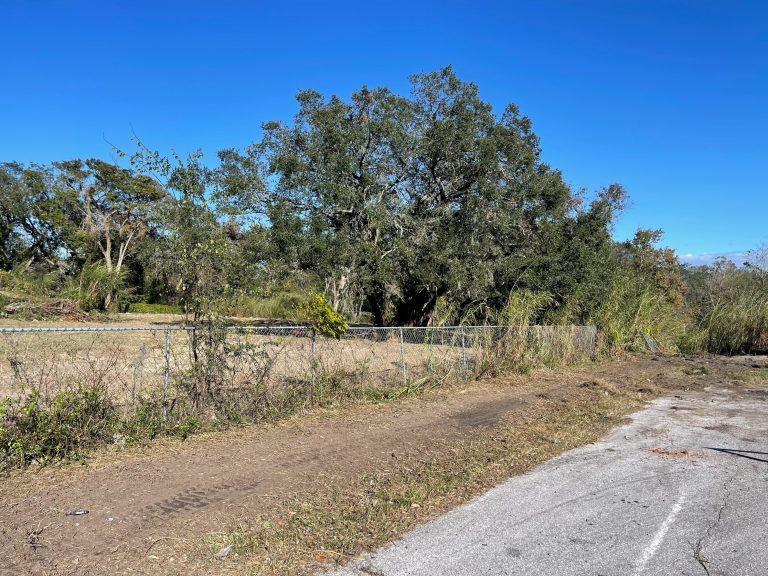 Central Florida Land Management Services | Sons Of David Land Services